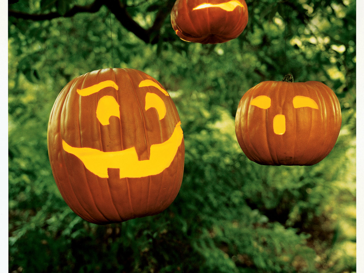 Floating pumpkins - Sunset Magazine - Sunset Magazine
