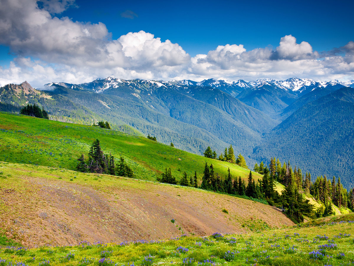 Your Best Three Days in Olympic National Park - Sunset Magazine ...